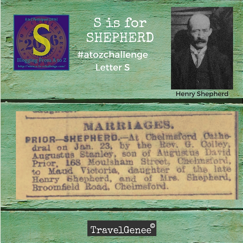TravelGenee #atozchallenge S - SHEPHERD - TravelGenee